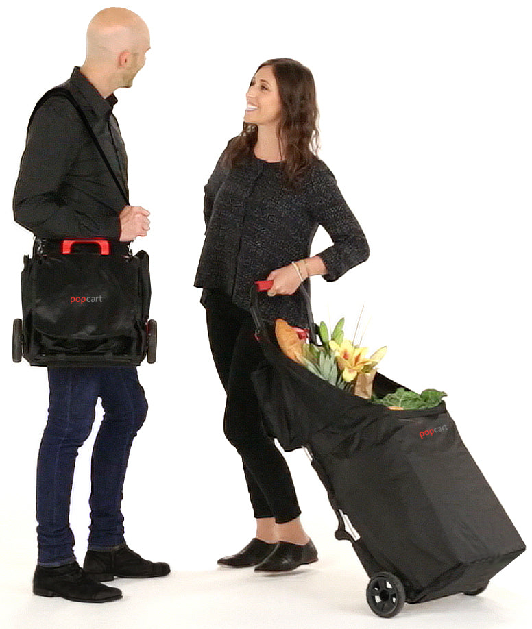 popcart - folding shopping cart
